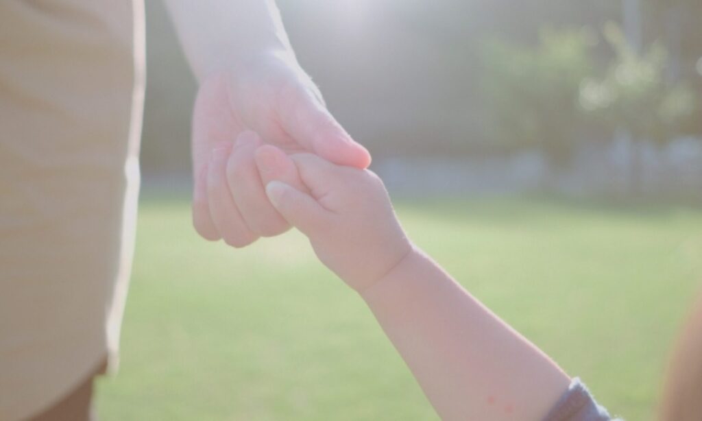 会社概要 - 株式会社 AMENA